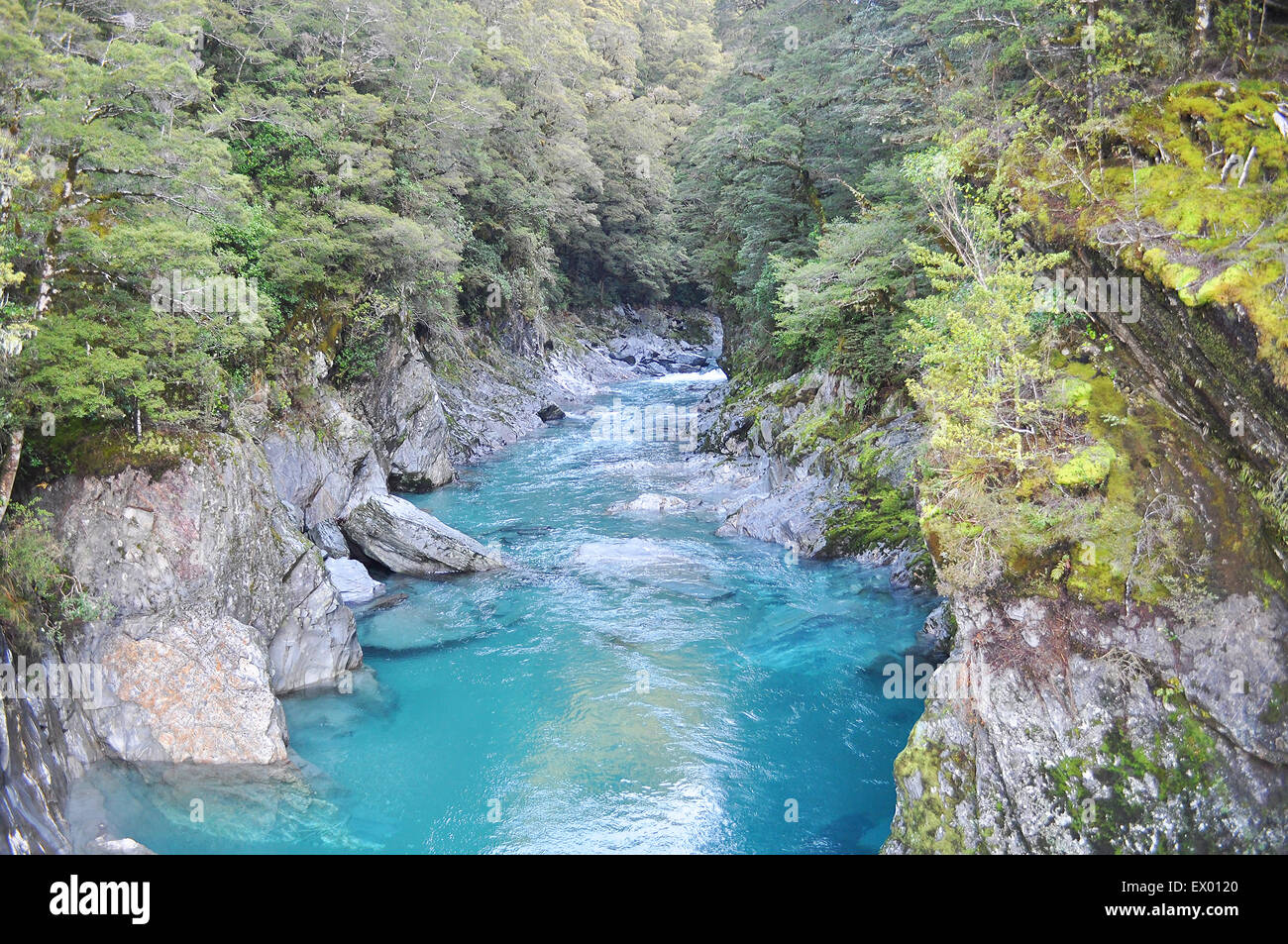 Clean Haast river in New Zealand Stock Photo - Alamy