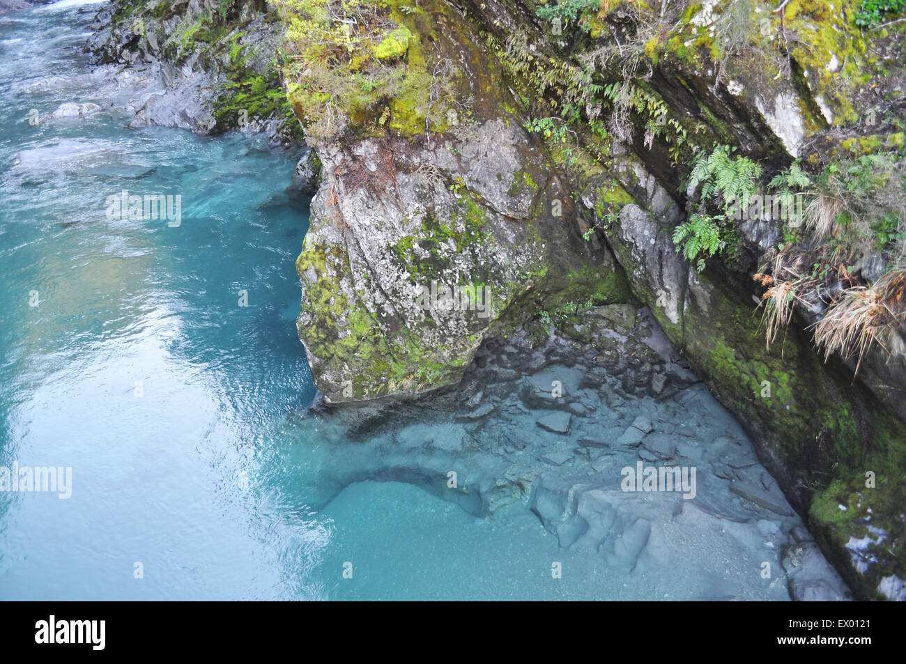 Clean Haast river in New Zealand Stock Photo - Alamy