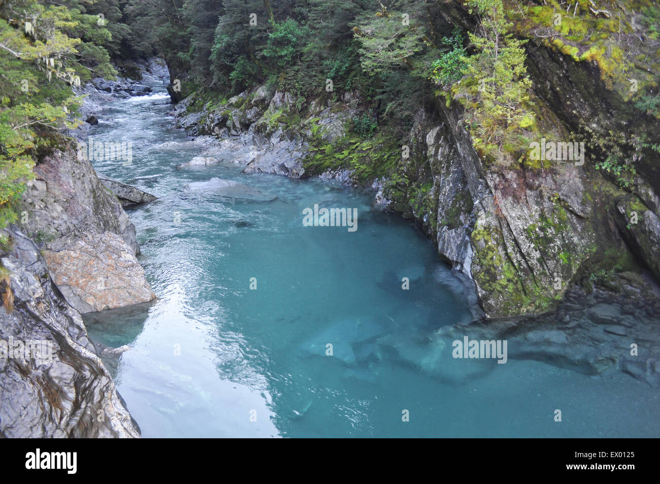 Clean Haast river in New Zealand Stock Photo - Alamy