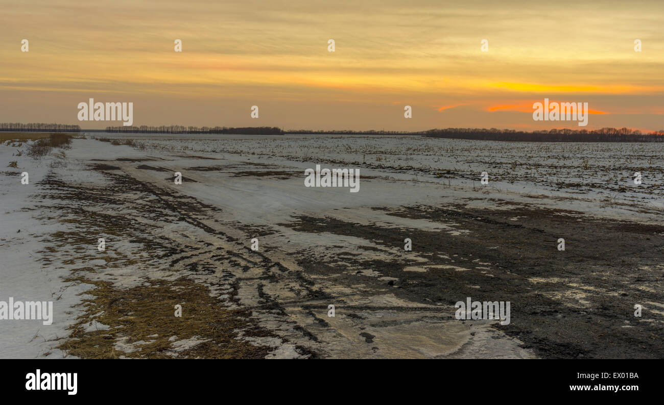 Evening landscape with road among agricultural fields in Ukraine at ...