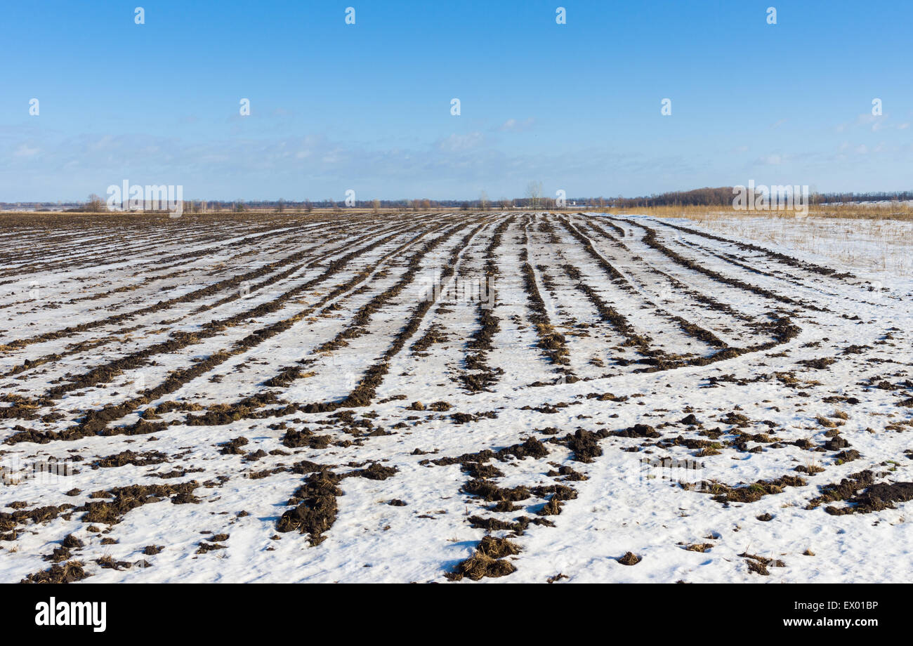 Ukrainian agricultural landscape at winter season Stock Photo - Alamy