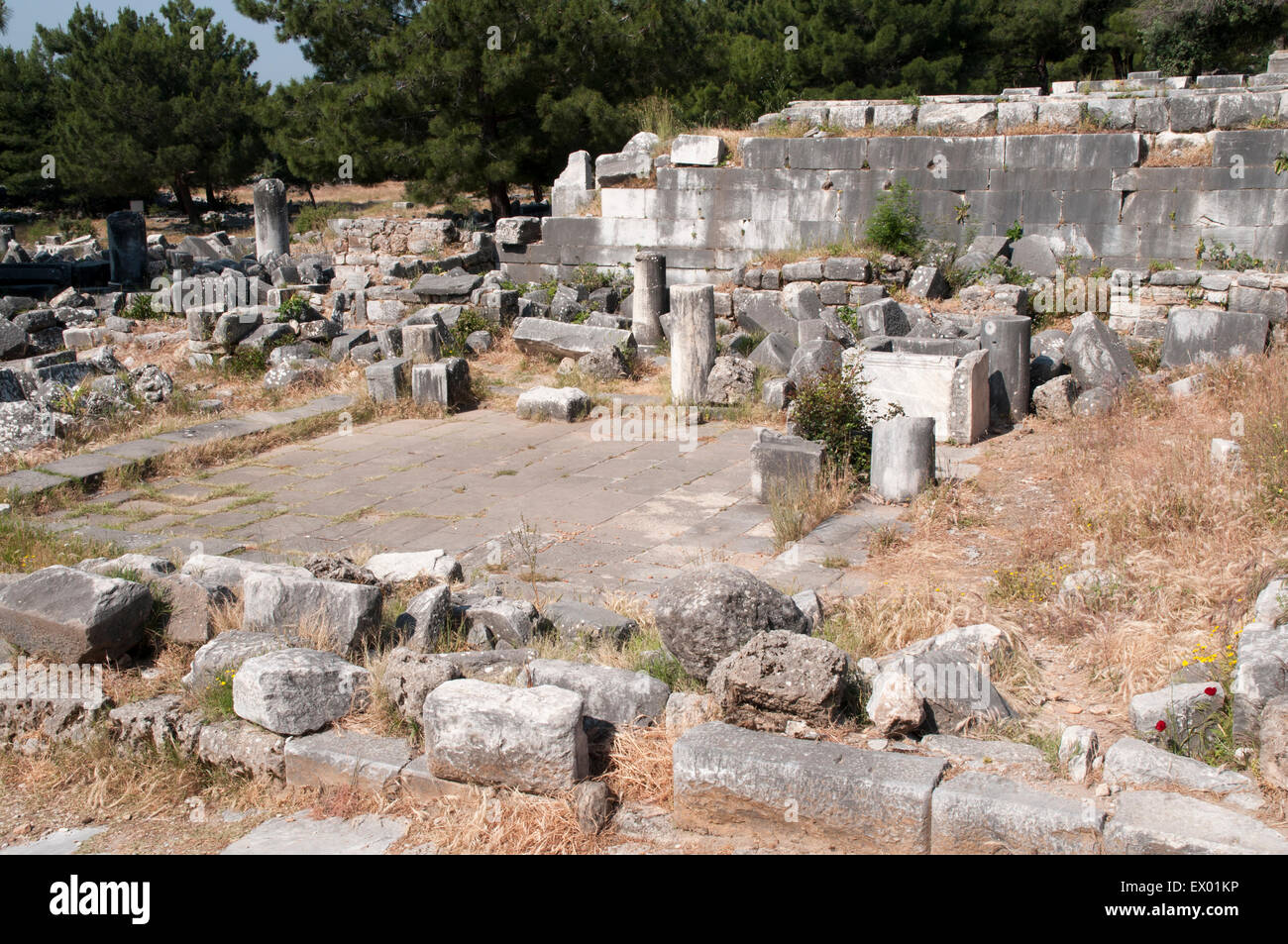 Priene was an ancient Greek city refunded and flourishing in the 4th ...