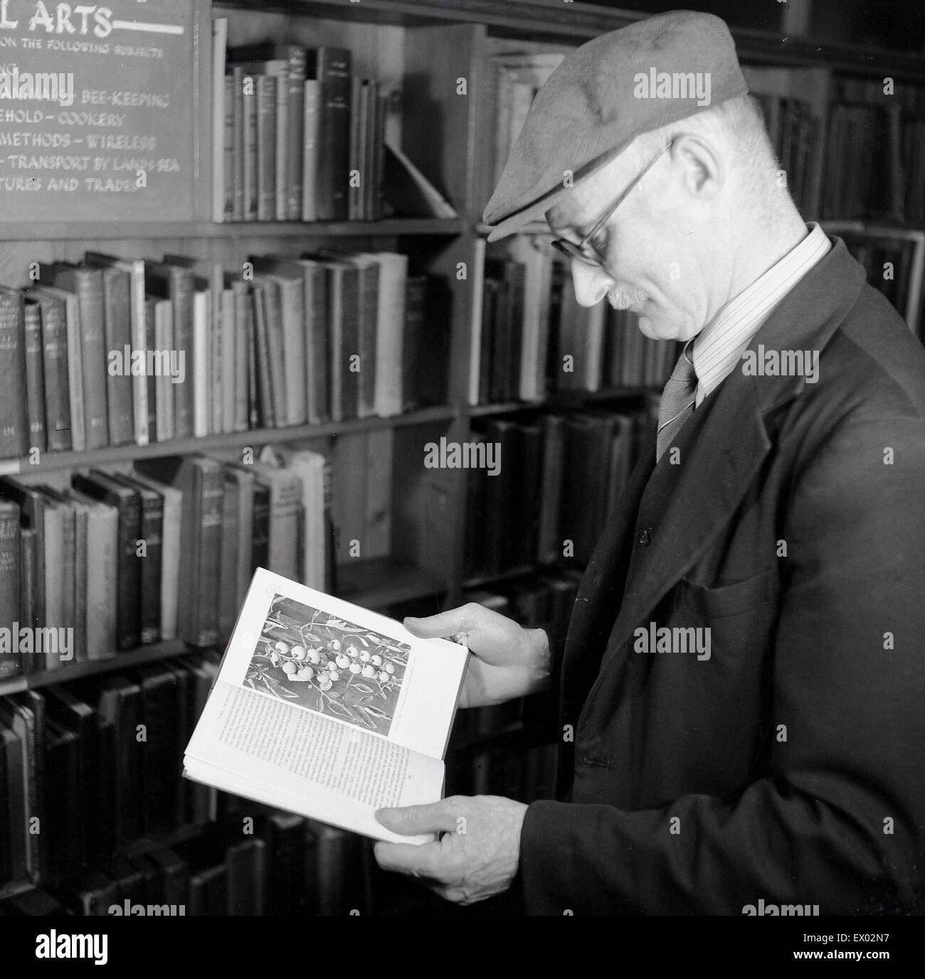 1950s man in his library hi-res stock photography and images - Alamy