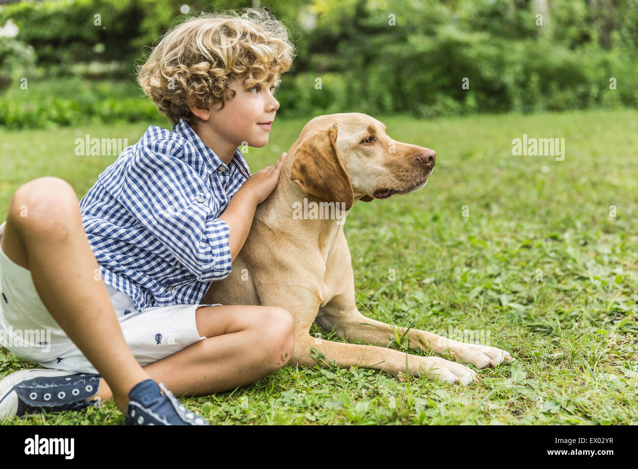 Petting High Resolution Stock Photography and Images - Alamy