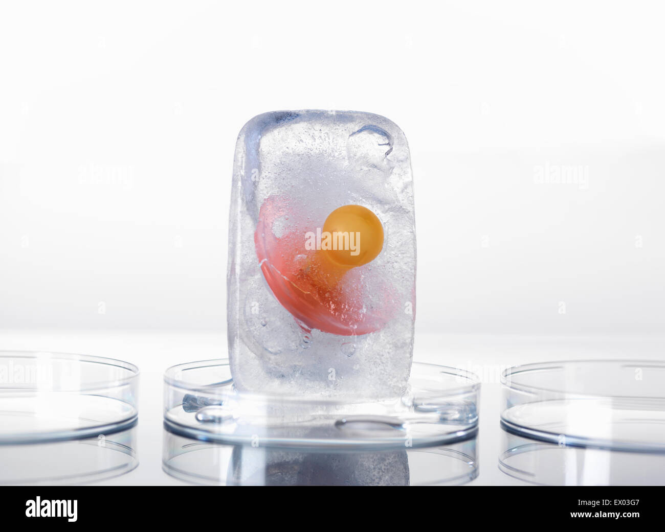 Baby dummy frozen in ice to illustrate frozen human embryos Stock Photo ...