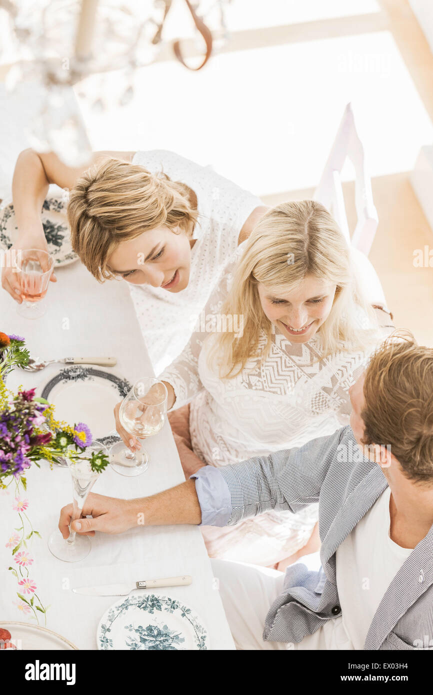 Dining Table Overhead View Stock Photos & Dining Table Overhead View ...
