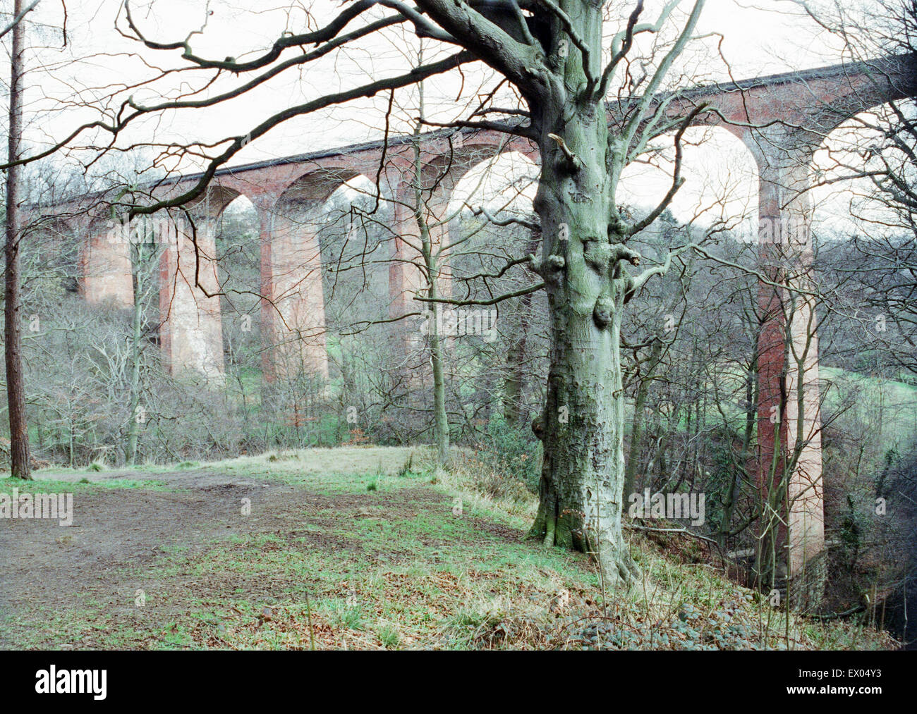 Saltburn Viaduct, Skelton Beck, Tees Valley, 25th March 1991 Stock ...
