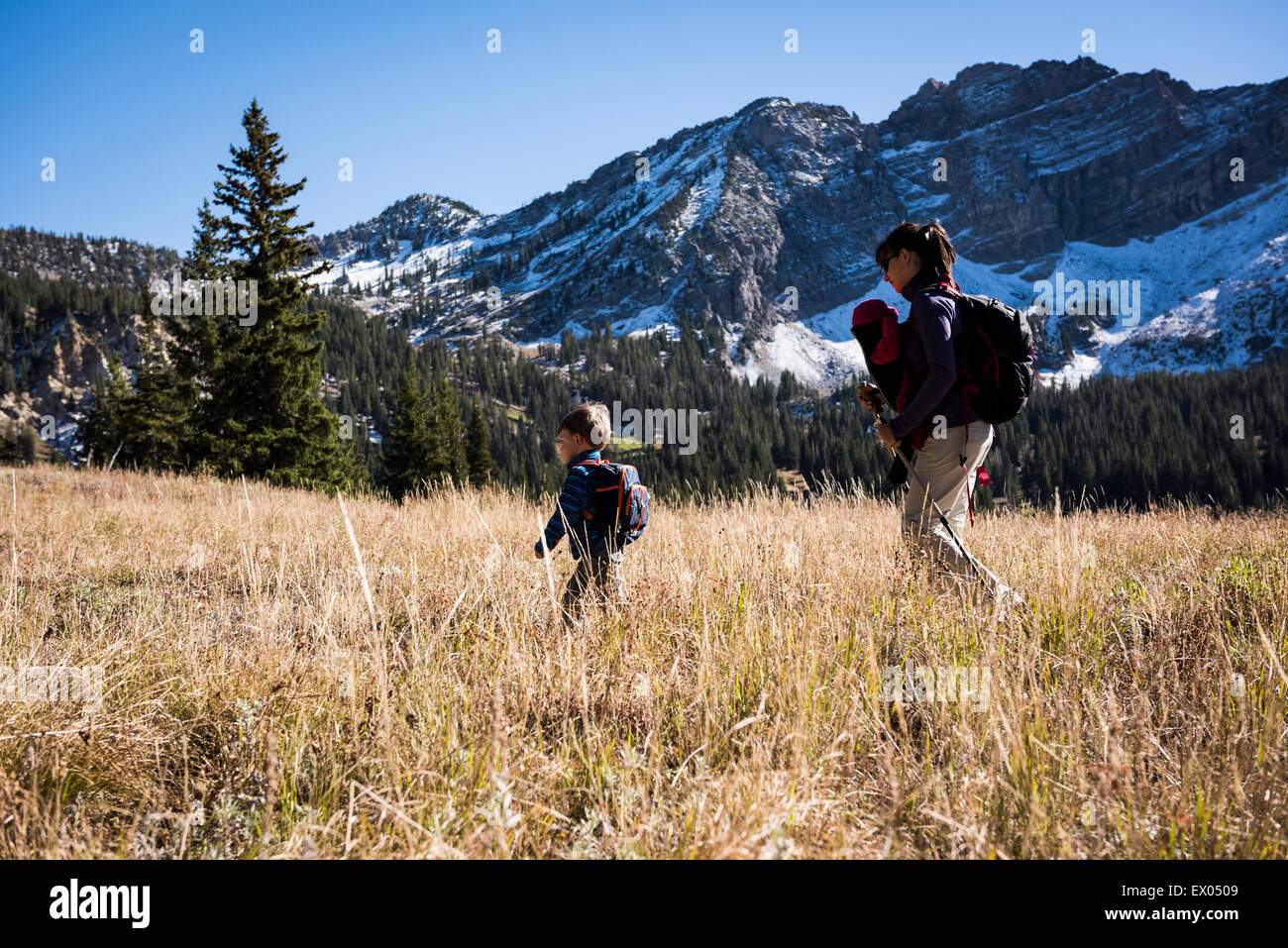 Mother and children hiking, Catherine's Pass Trail, Albion Basin, Alta ...
