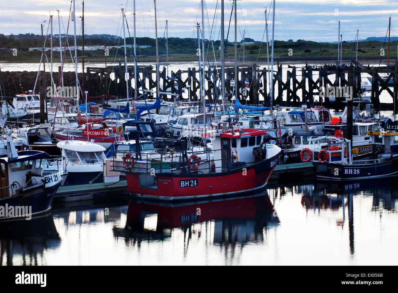 Amble marina hi-res stock photography and images - Alamy
