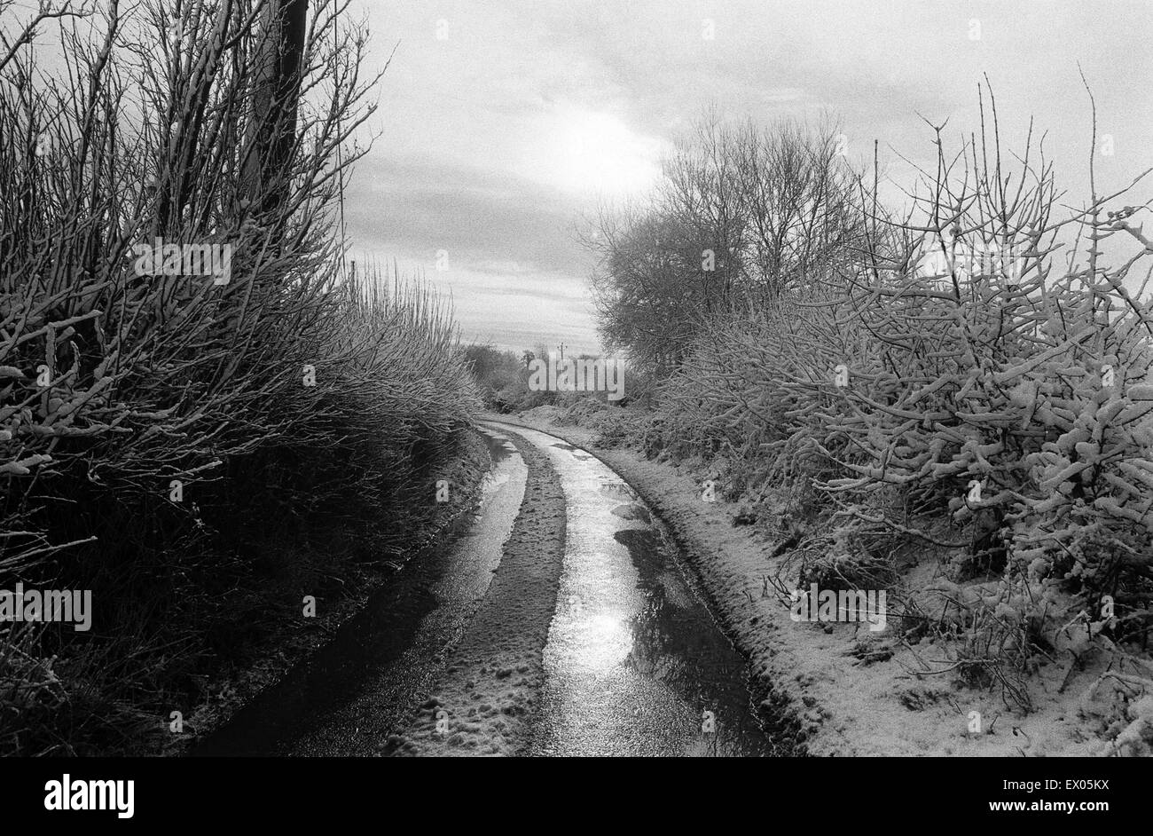 Snow scenes at Sonning, Berkshire. December 1981 Stock Photo - Alamy