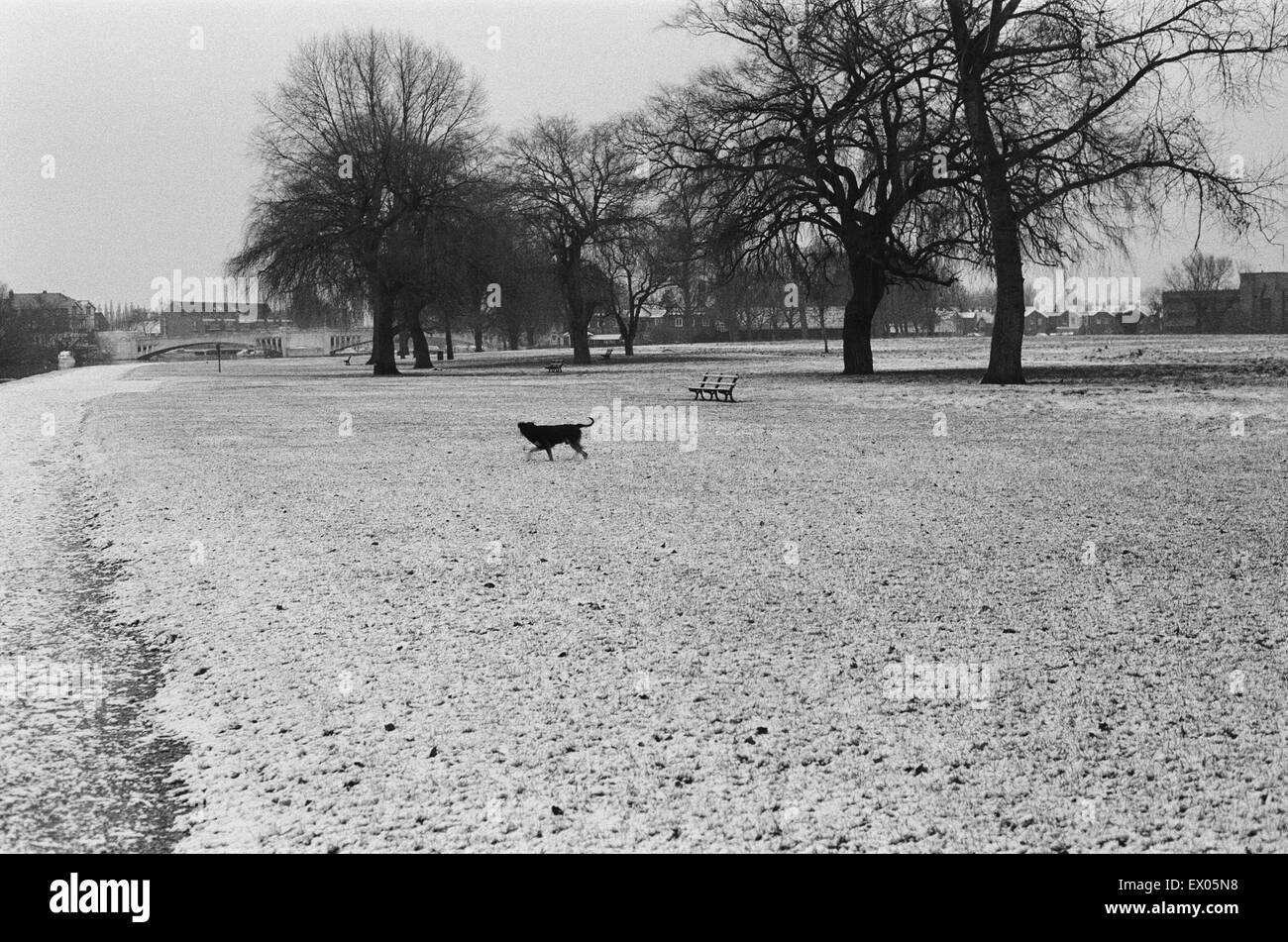 Snow scenes in Berkshire. December 1979 Stock Photo - Alamy