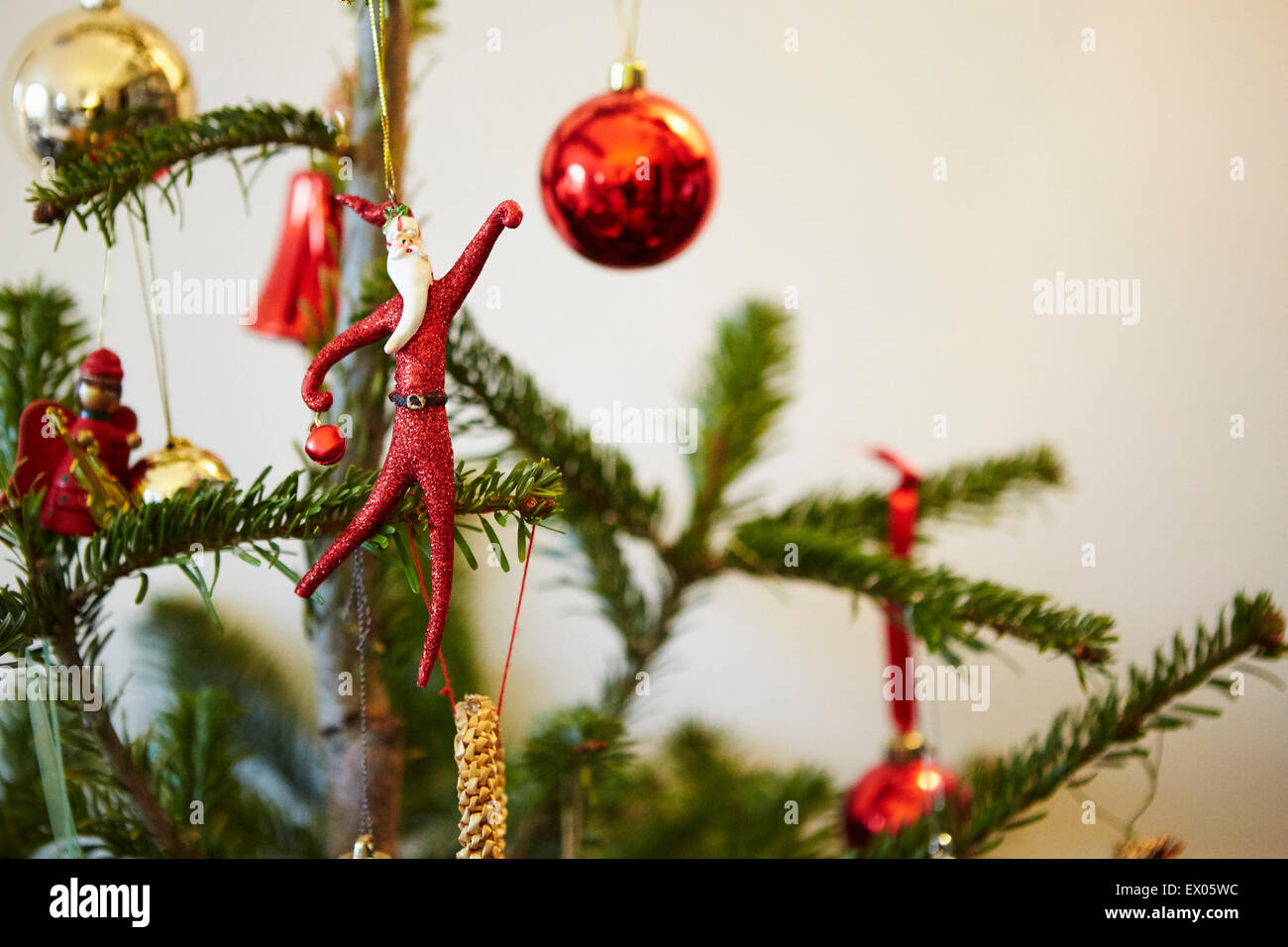 Hanging to tree hi-res stock photography and images - Alamy