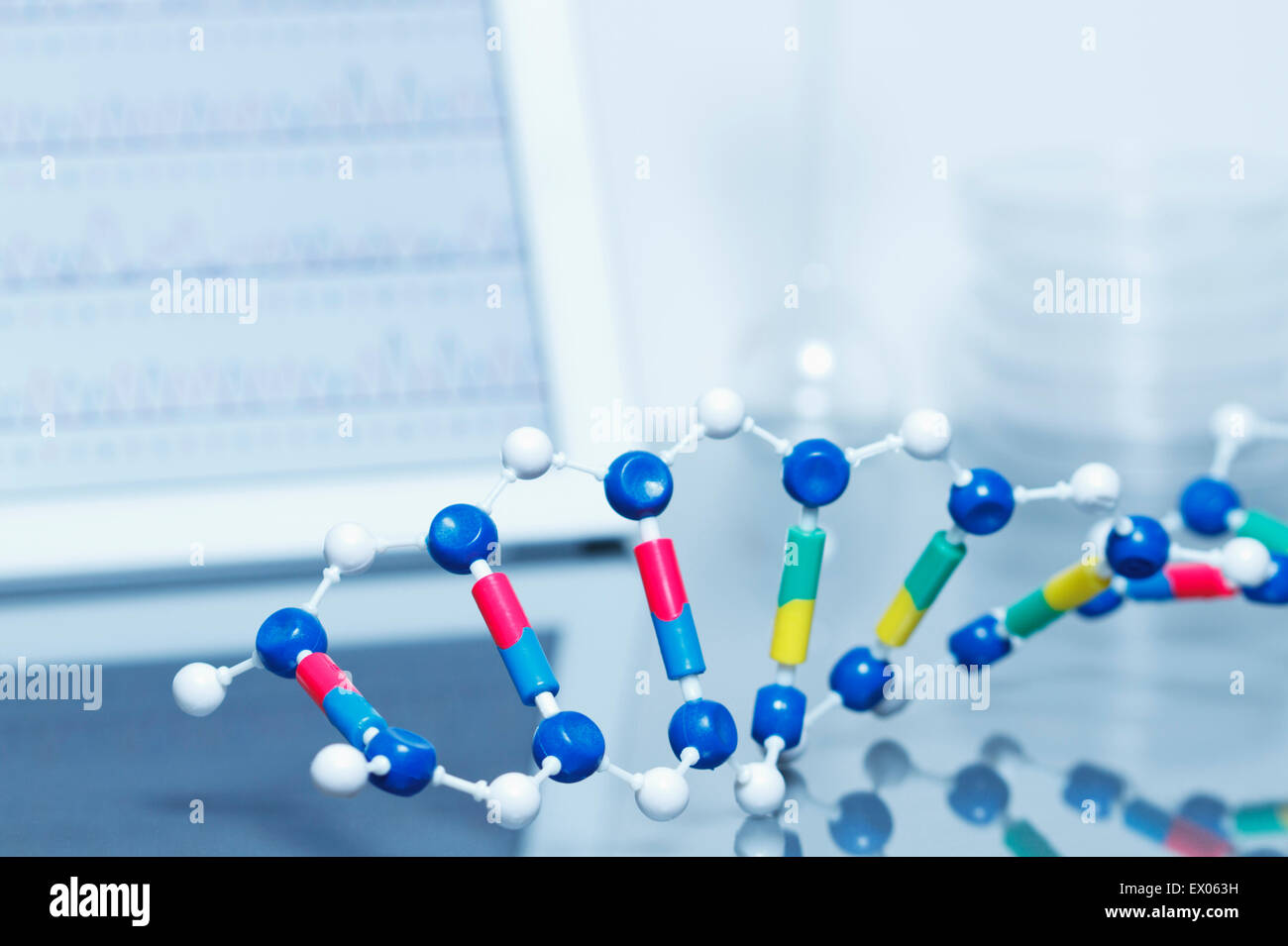 A model of DNA molecule with a tablet computer displaying results of ...