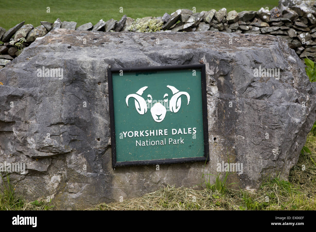 Symbol Of Yorkshire High Resolution Stock Photography and Images - Alamy