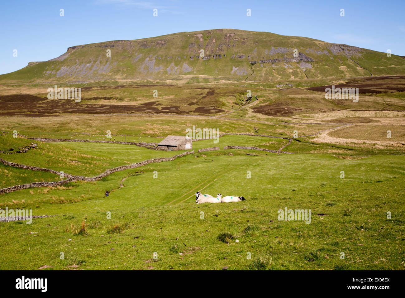 Carboniferous limestone scenery Pen Y Ghent, Yorkshire Dales national ...