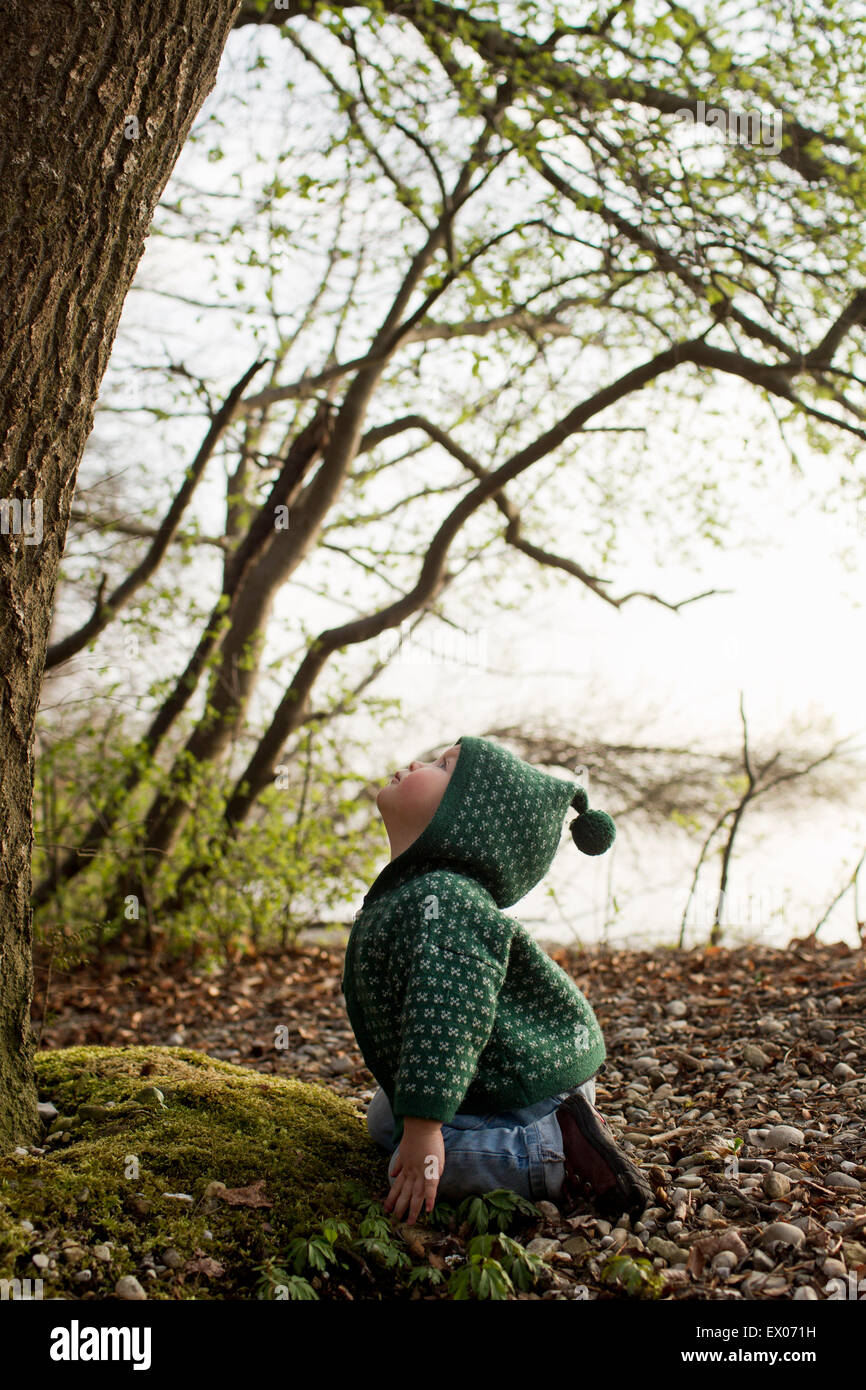 Baby girl kneeling and looking up at tree on lakeside pebbles, Lake ...