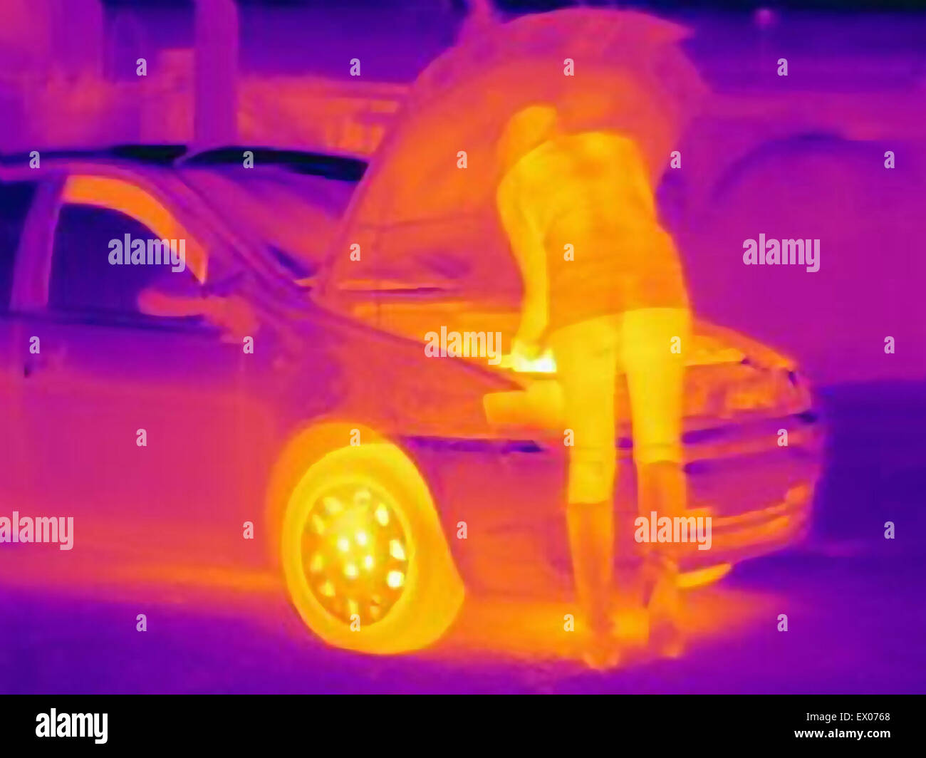 Thermal image of woman looking under automobile hood on roadside Stock ...