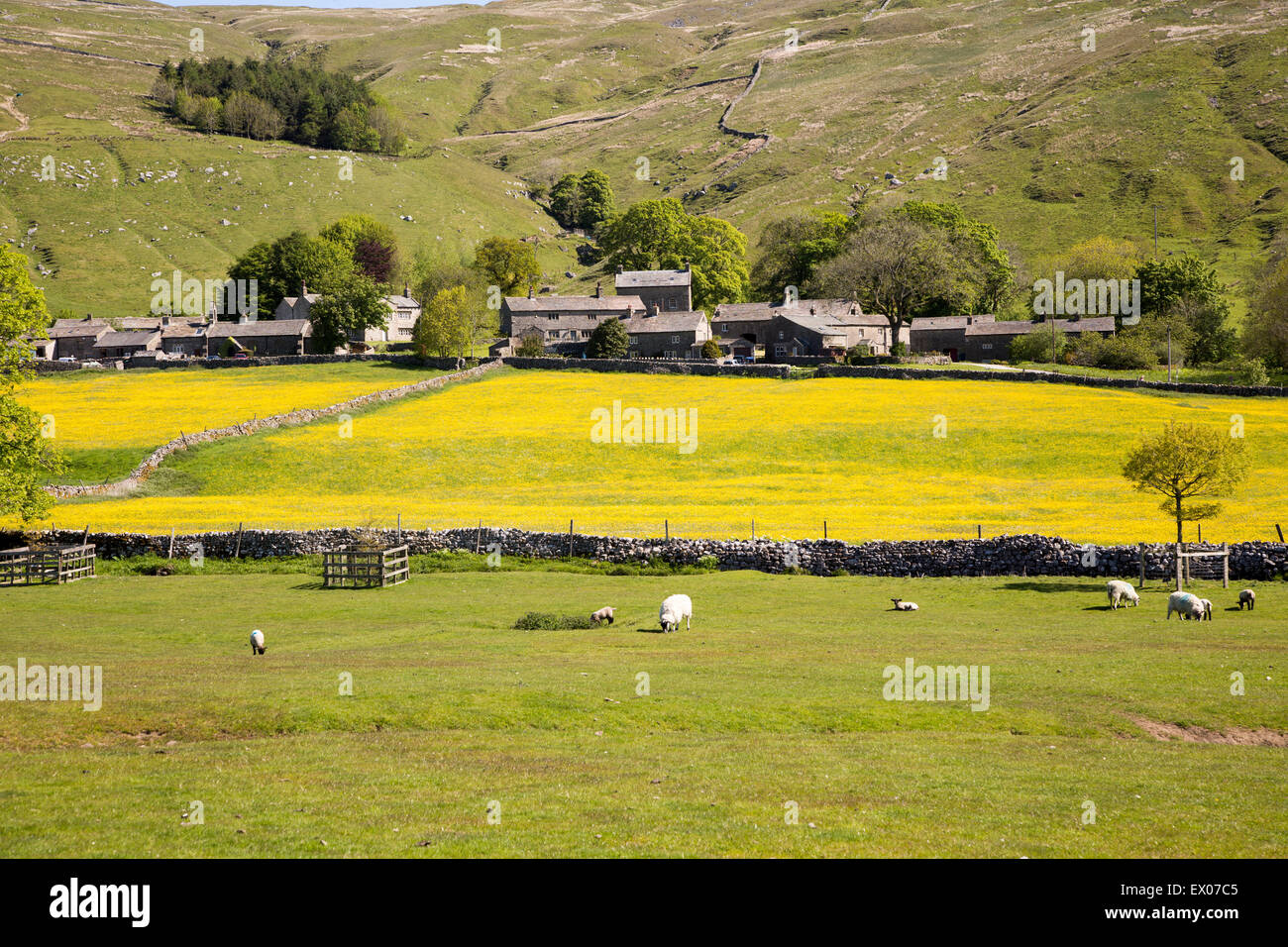 Halton Gill, Yorkshire Dales national park, England, UK Stock Photo - Alamy
