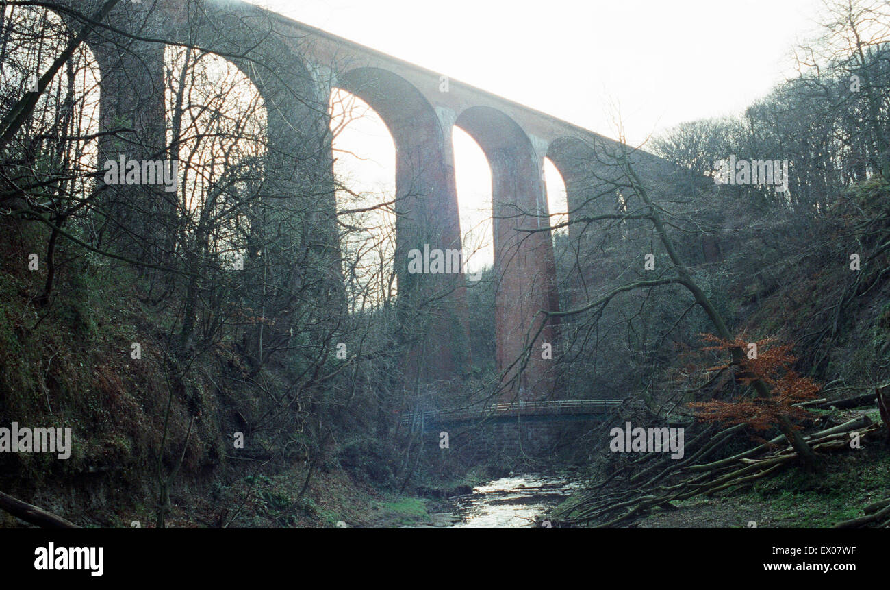Saltburn Viaduct, Skelton Beck, Tees Valley, 25th March 1991 Stock ...