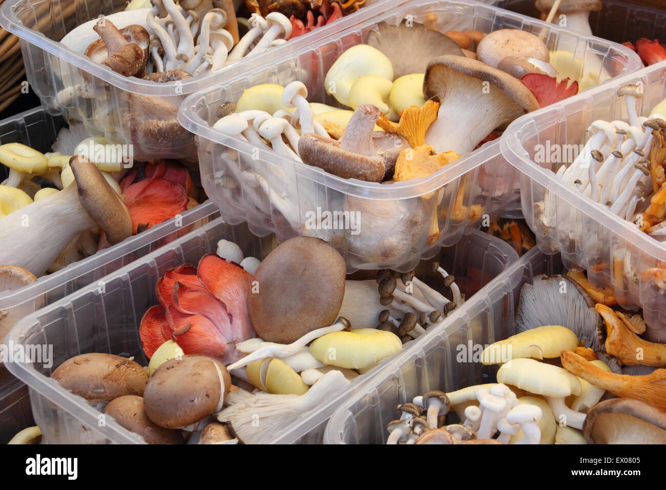 Edible Mushrooms Uk High Resolution Stock Photography and Images - Alamy