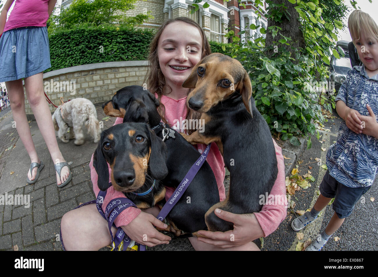 Three dachshunds hi-res stock photography and images - Alamy
