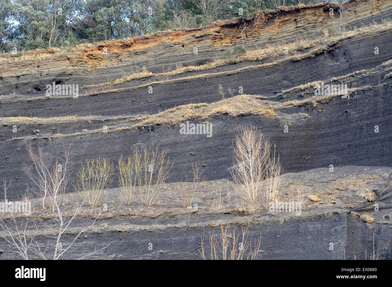 Stratification layers in the crater of Croscat Volcano. Garrotxa ...