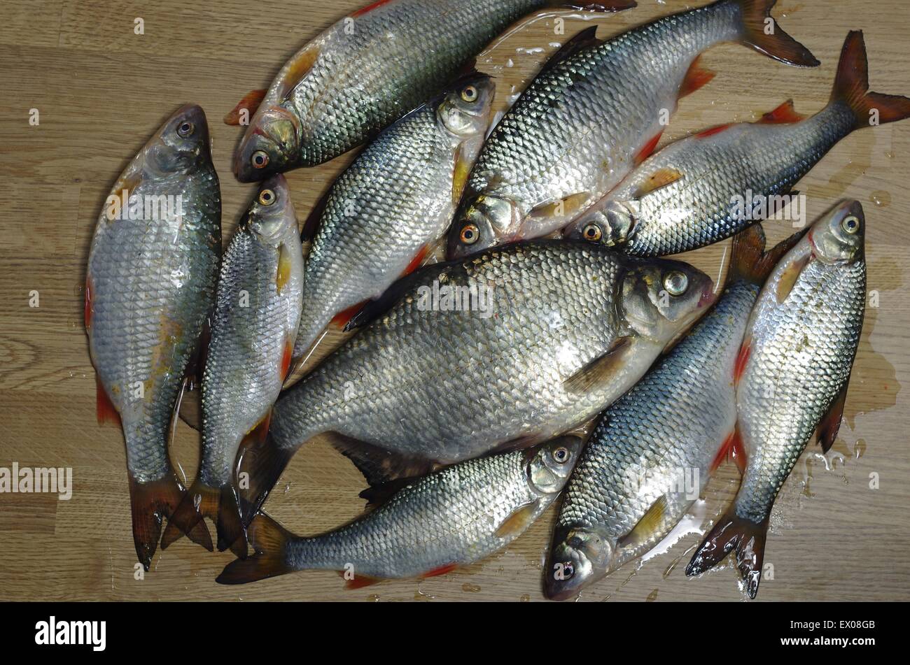 Fishery background hi-res stock photography and images - Alamy
