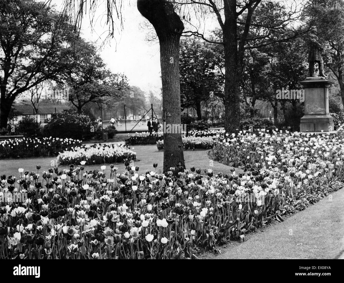 Albert Park, Middlesbrough, North Yorkshire. Circa 1965 Stock Photo - Alamy