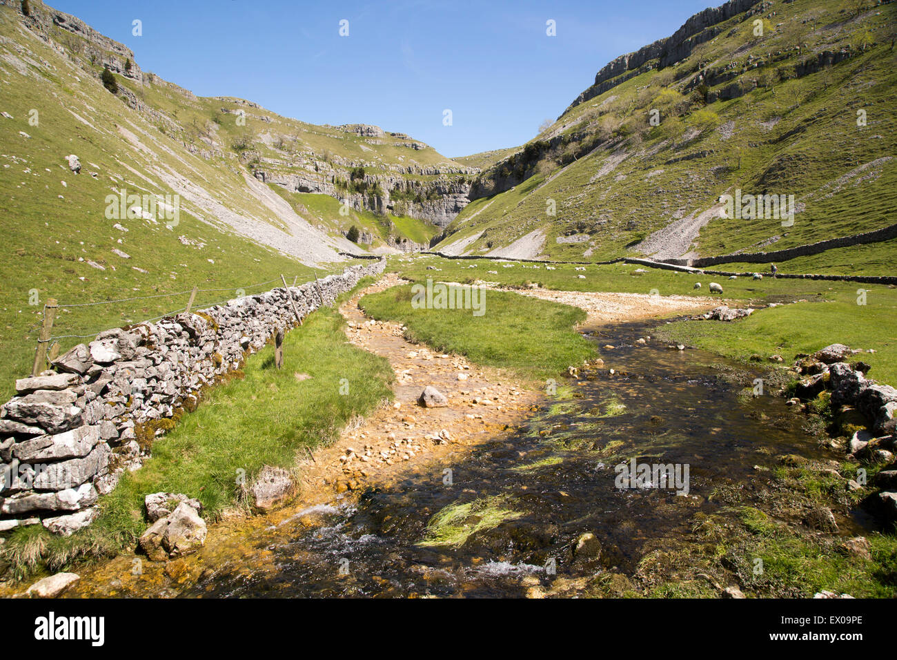 Malhamdale landscape limestone gorge hi-res stock photography and ...