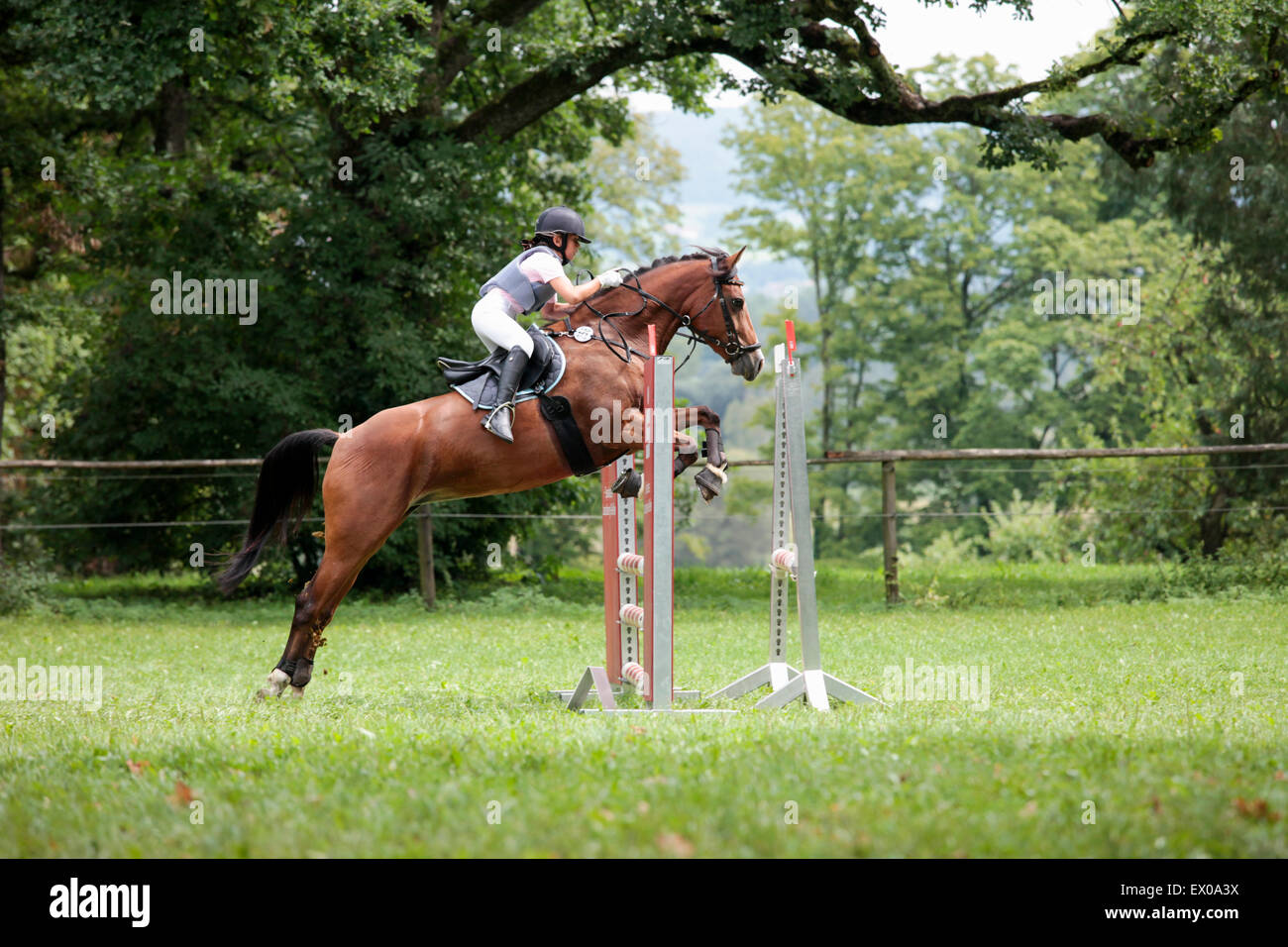 Horse and rider show jumping Stock Photo - Alamy