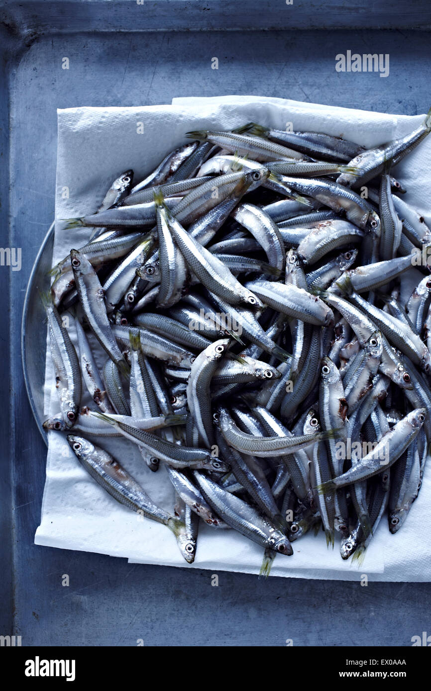 Small fish in tray Stock Photo - Alamy