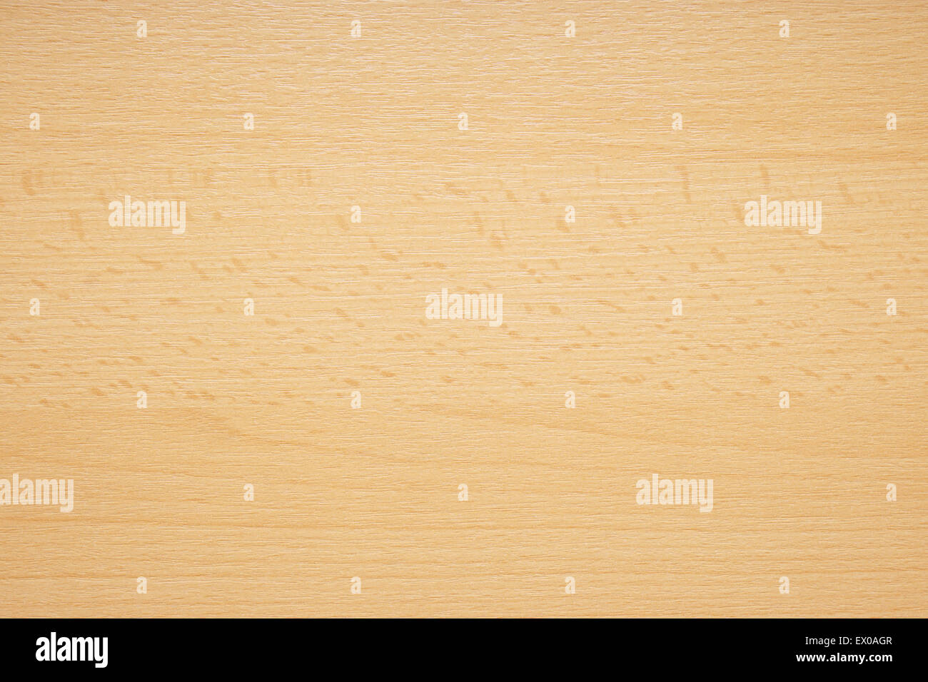 Beech wood texture hi-res stock photography and images - Alamy