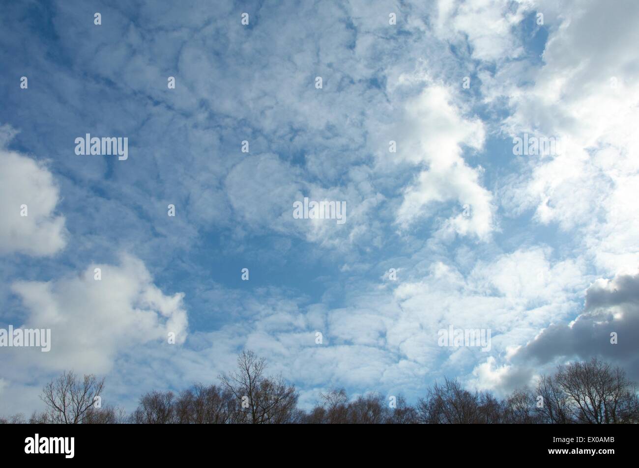 Clouds sky treetops hi-res stock photography and images - Alamy