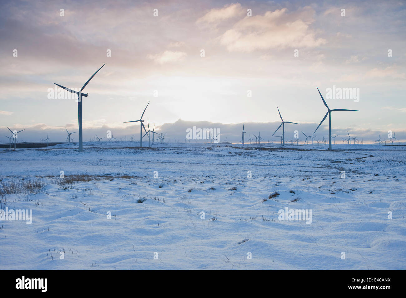 Scottish wind farm ayrshire hi-res stock photography and images - Alamy