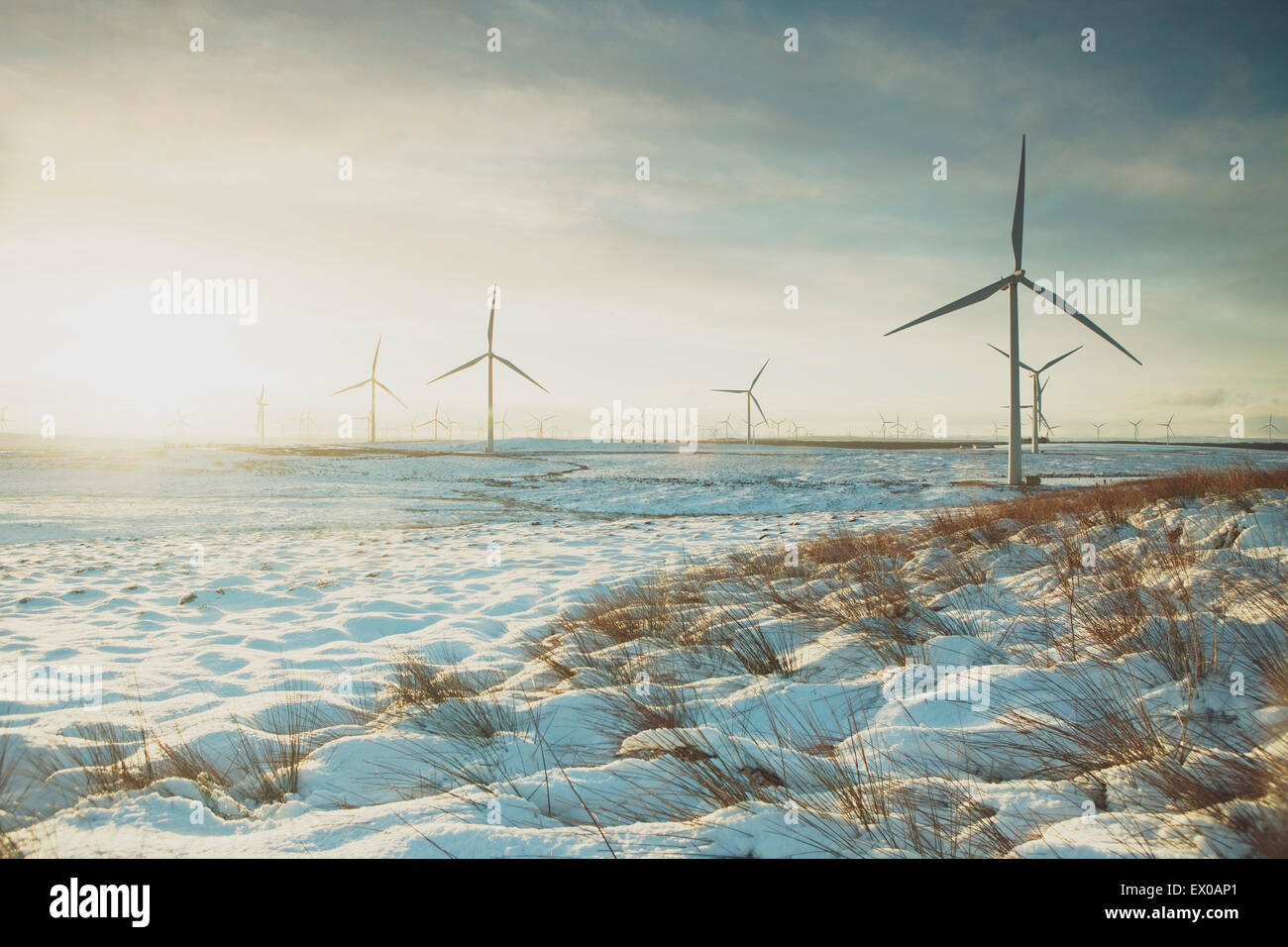 Wind turbines on sandy landscape, Ayrshire, Scotland Stock Photo - Alamy