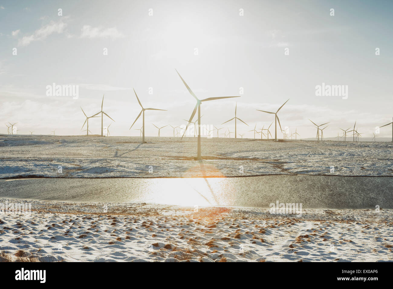 Wind turbines on sandy landscape, Ayrshire, Scotland Stock Photo - Alamy
