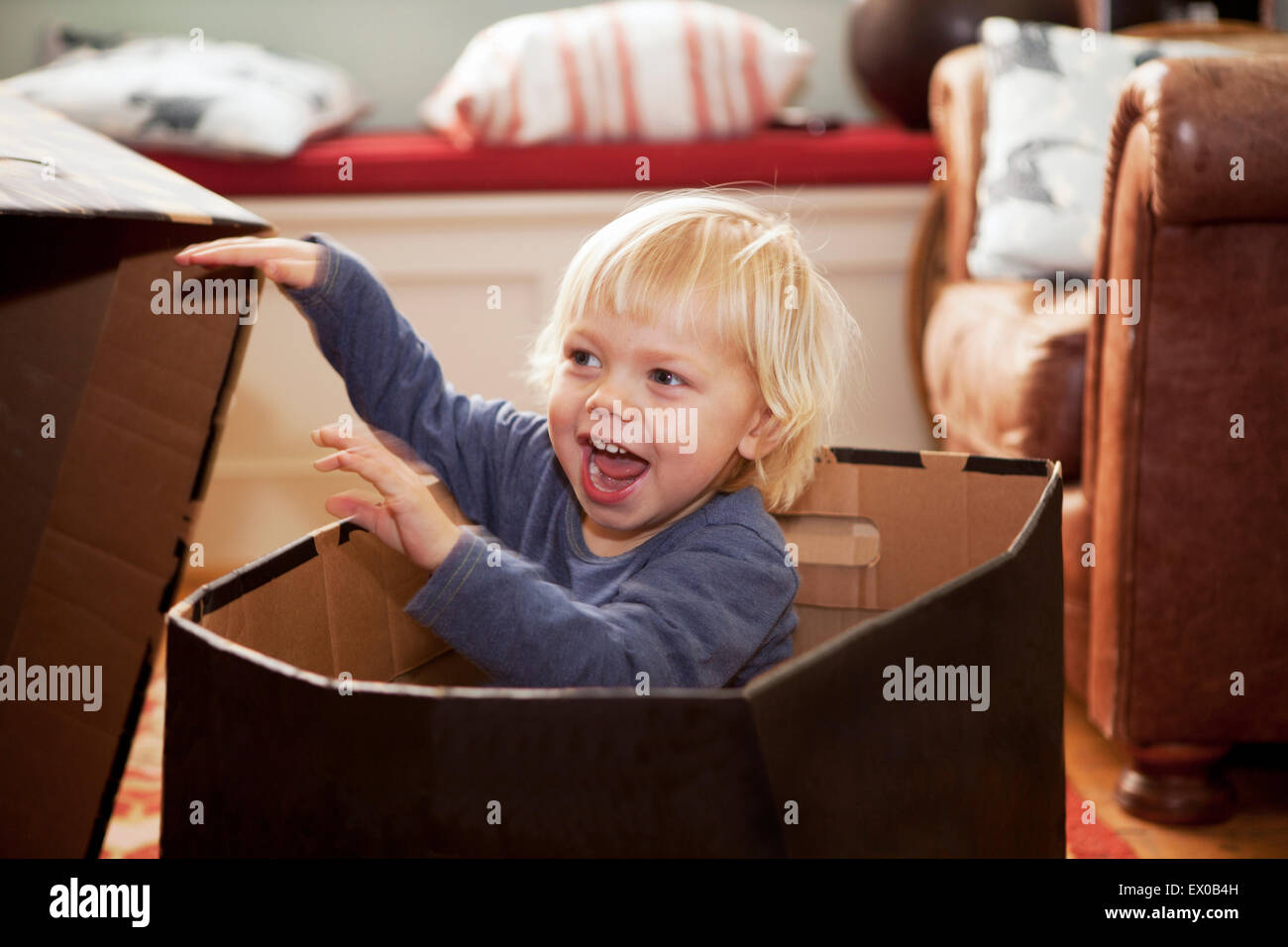Boy hiding in cardboard box in living room Stock Photo - Alamy