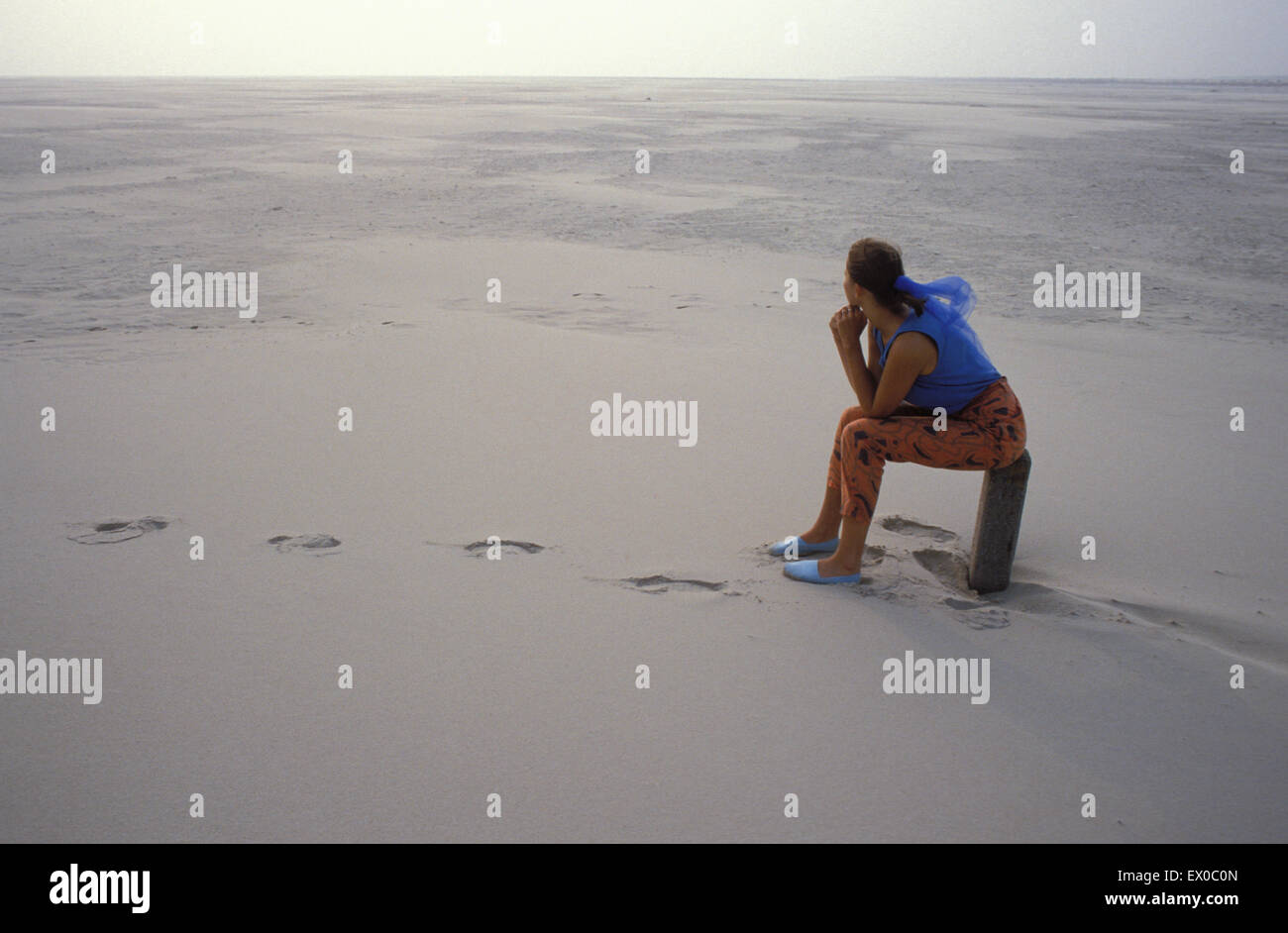 NLD, Netherlands, at the beach on the island of Texel. NLD, Niederlande ...