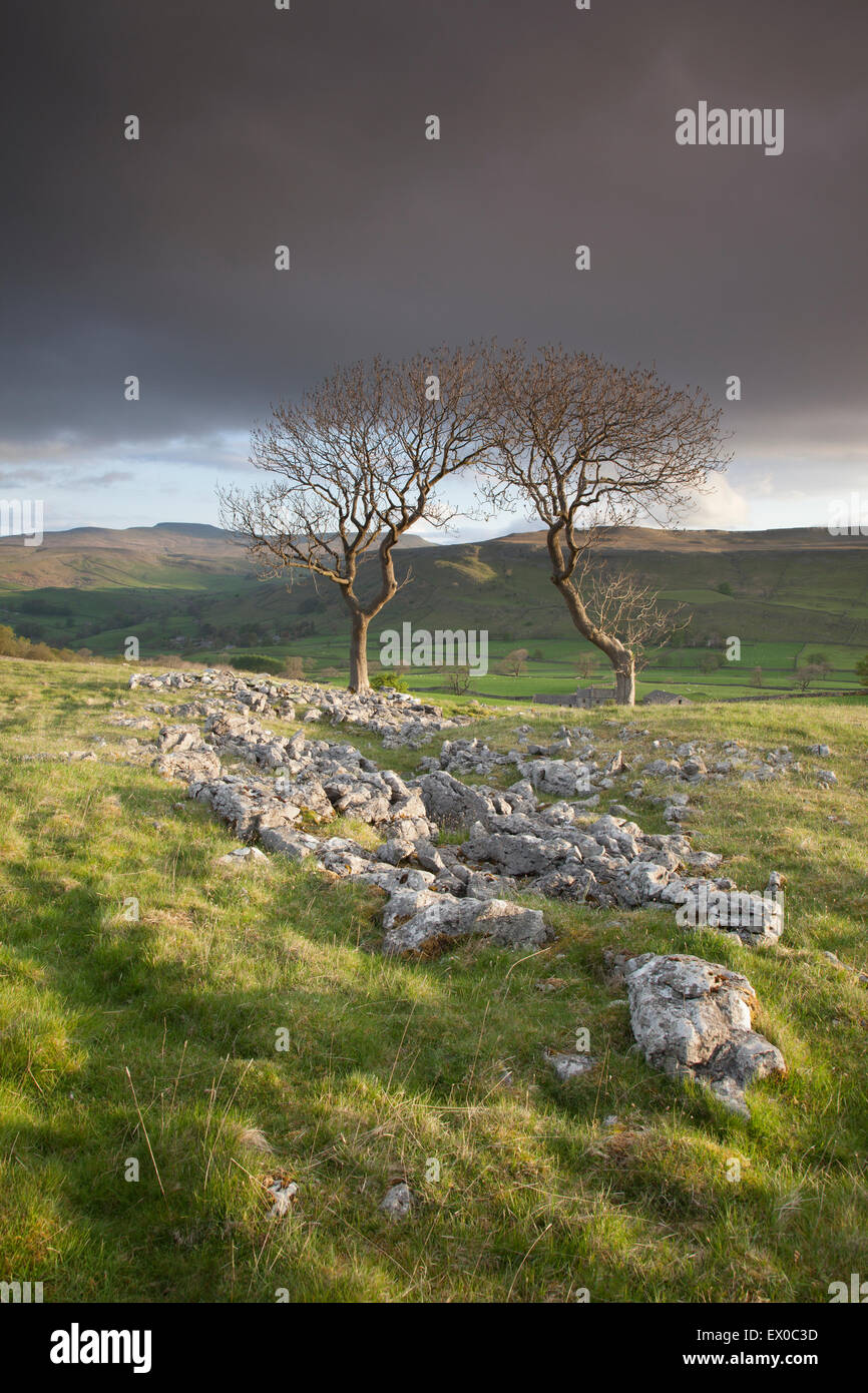Ingleborough from near Smearsett Scar, Craven District, Yorkshire Dales ...