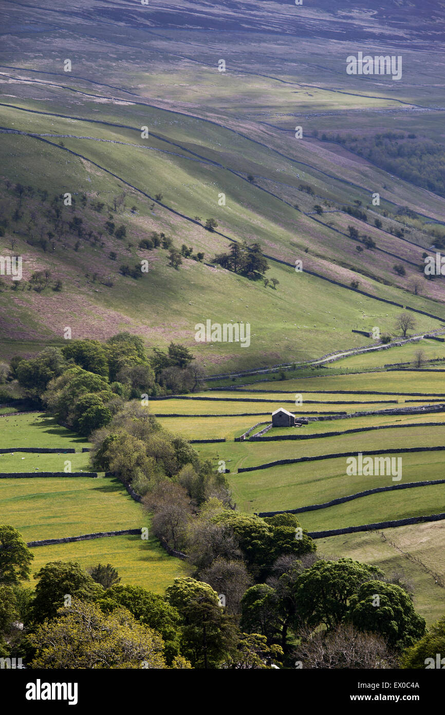 Patchy light hi-res stock photography and images - Alamy