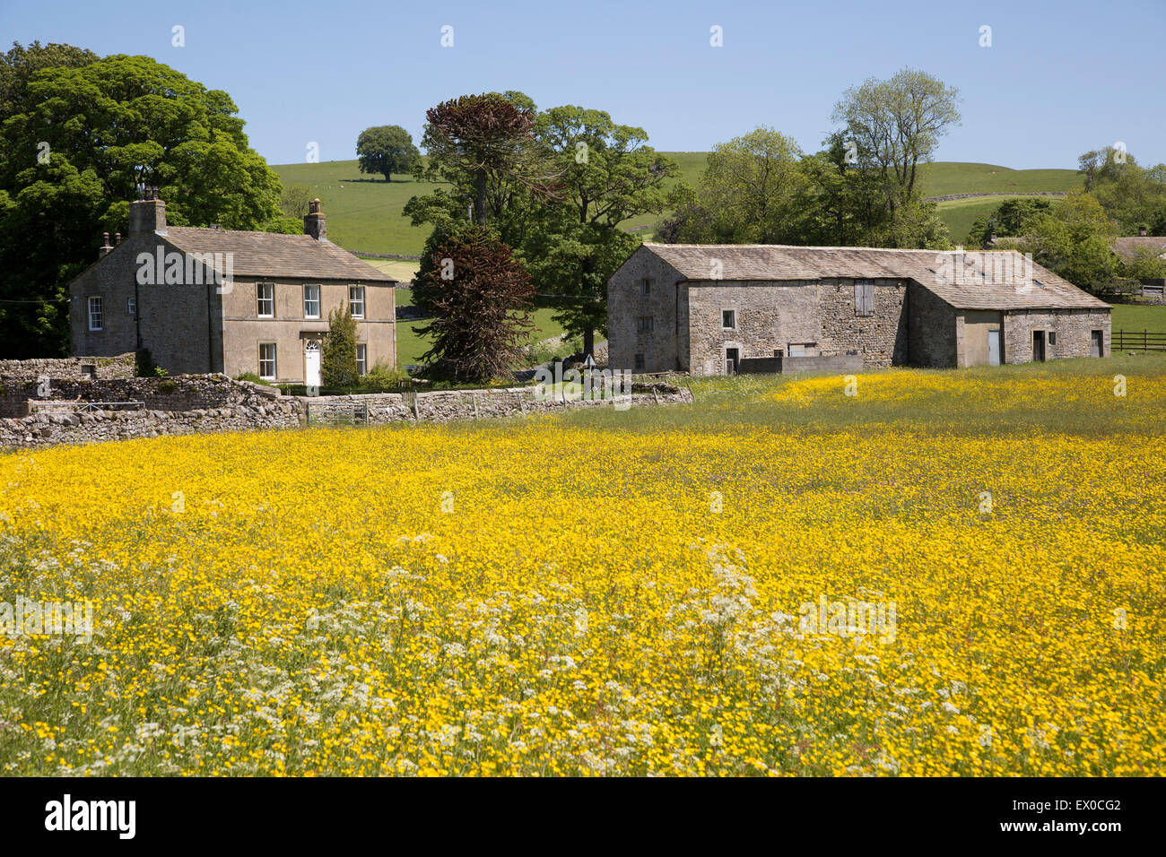 Traditional stone farmhouse, Winterburn, Yorkshire Dales national park ...