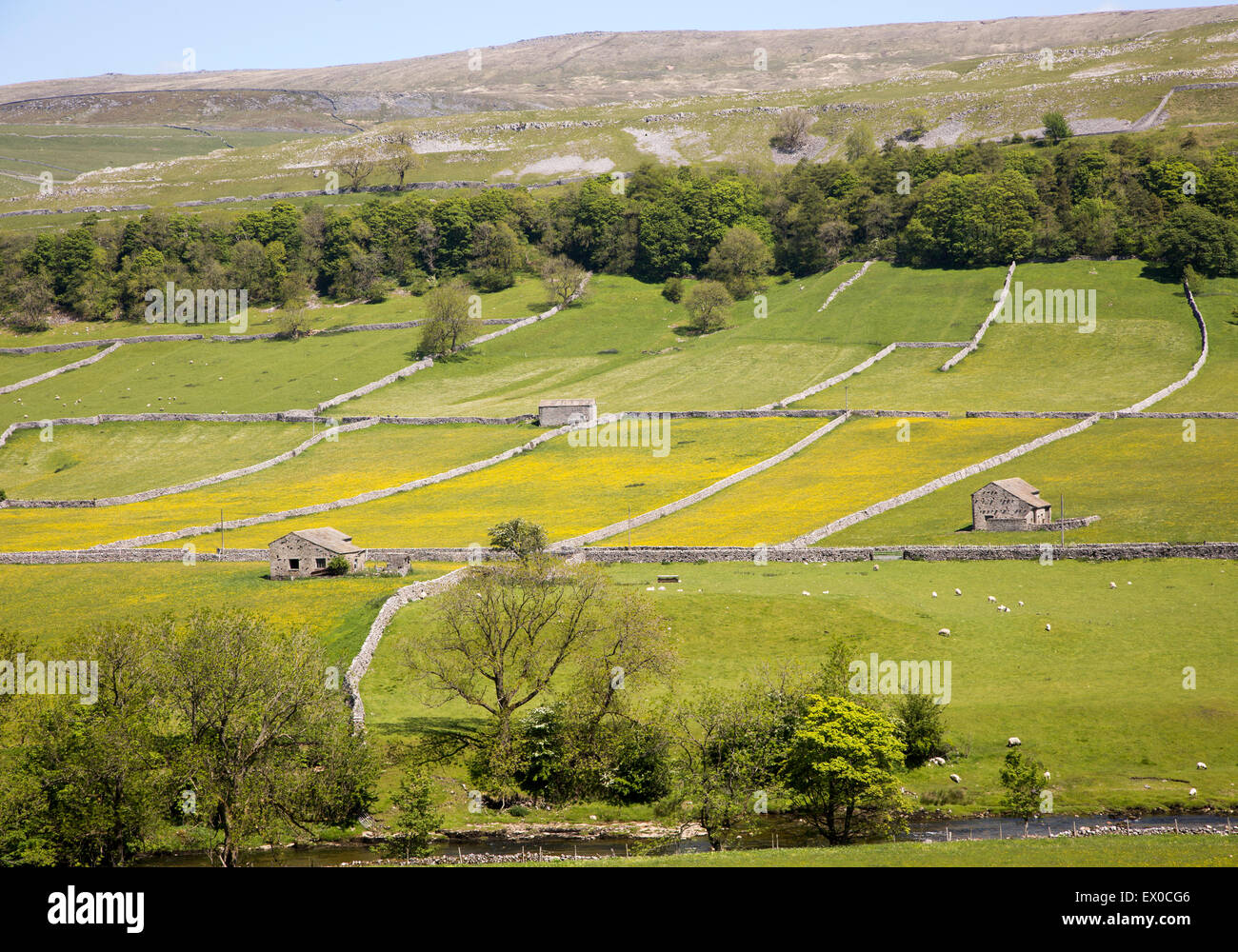 Attractive countryside River Wharf valley, Wharfedale, Kettlewell ...