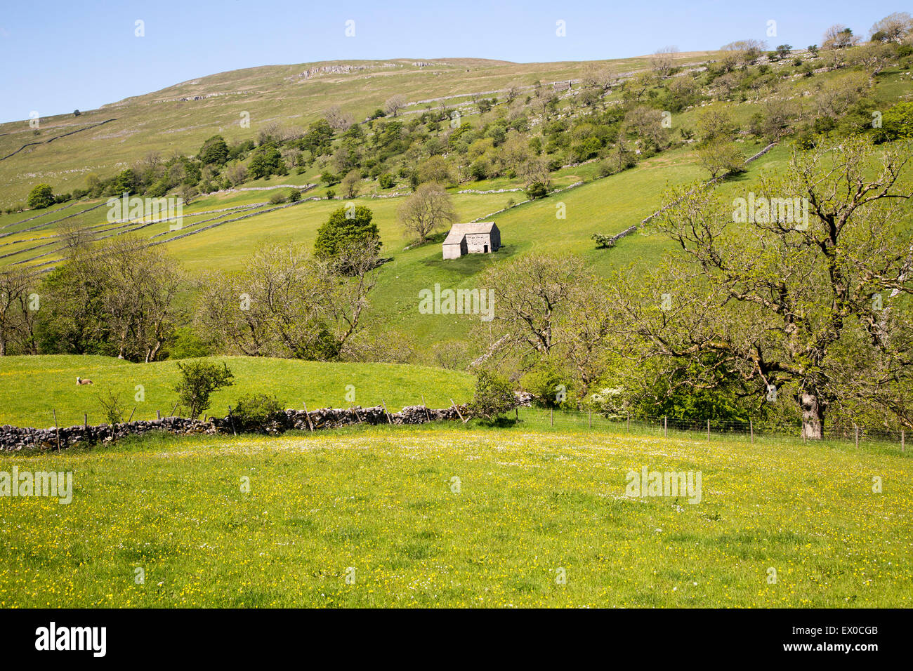 Attractive countryside in Langstrothdale, Yorkshire Dales national park ...