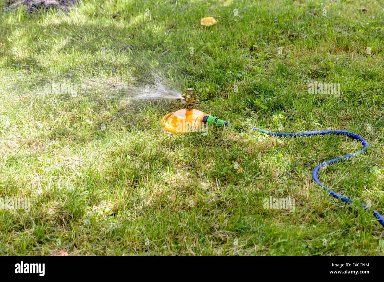 Spraying garden hose hi-res stock photography and images - Alamy