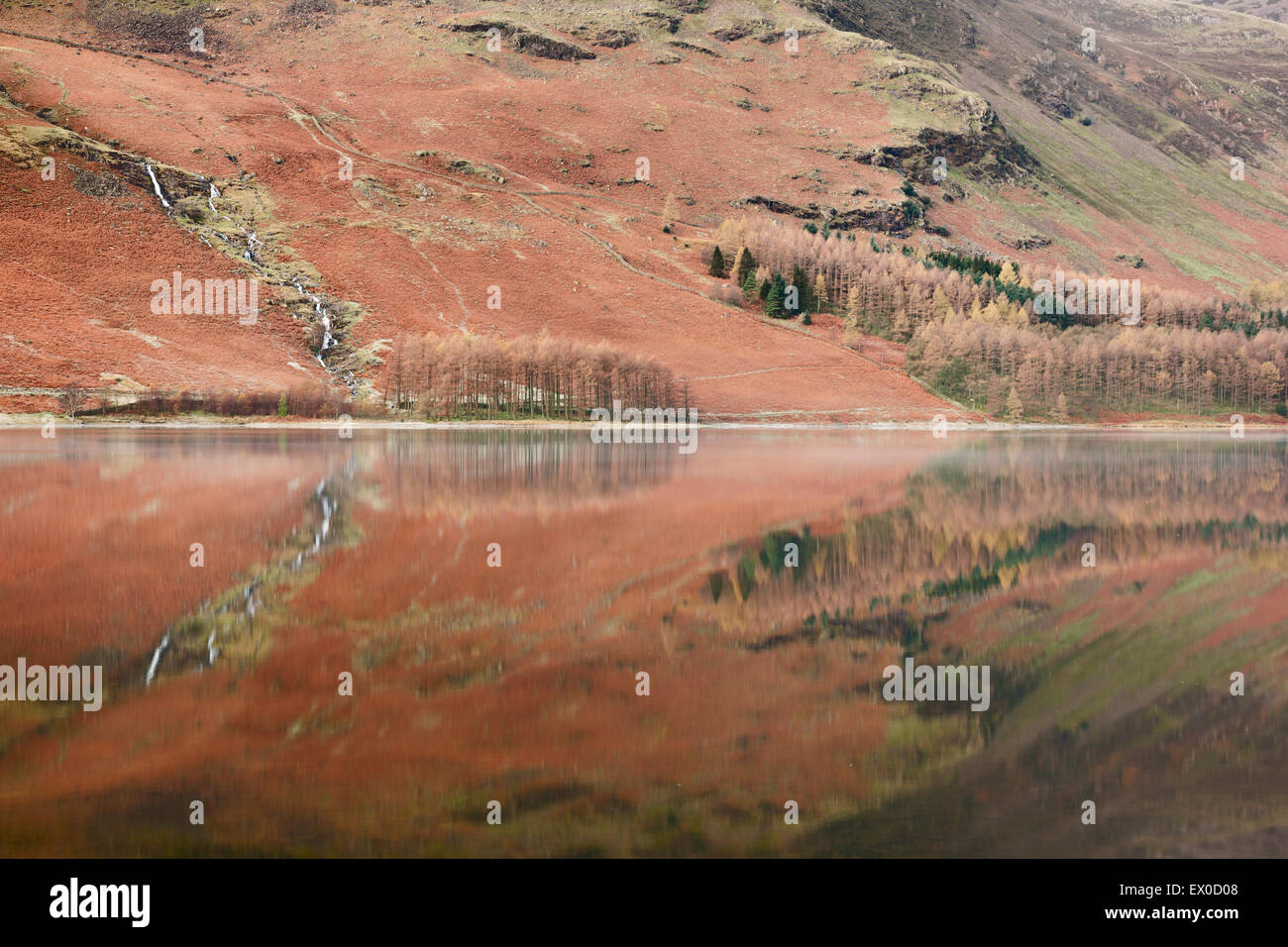 Burtness Comb and Autumn colours reflected onto the surface of ...