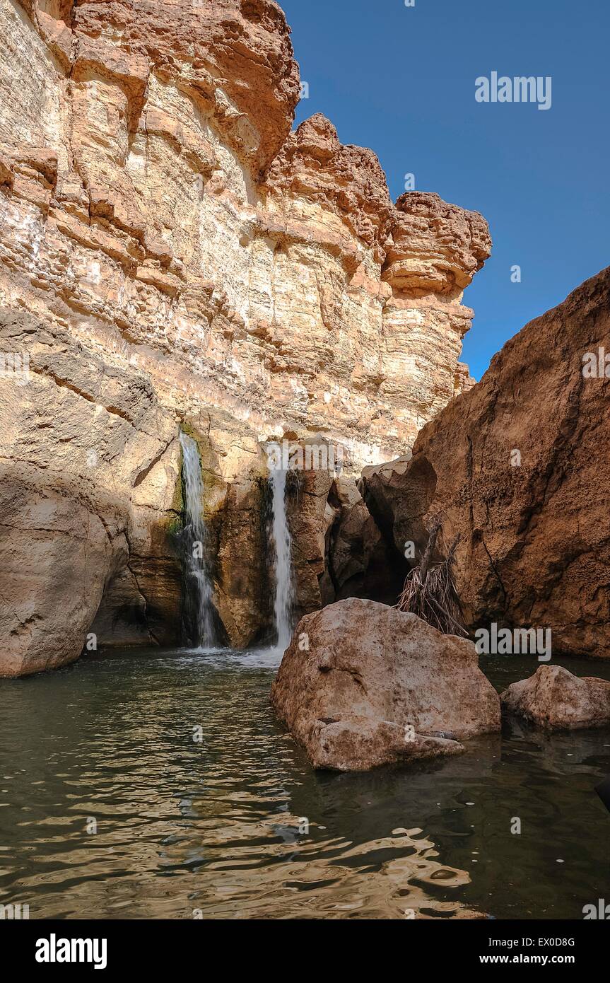 Oasis on desert hi-res stock photography and images - Alamy