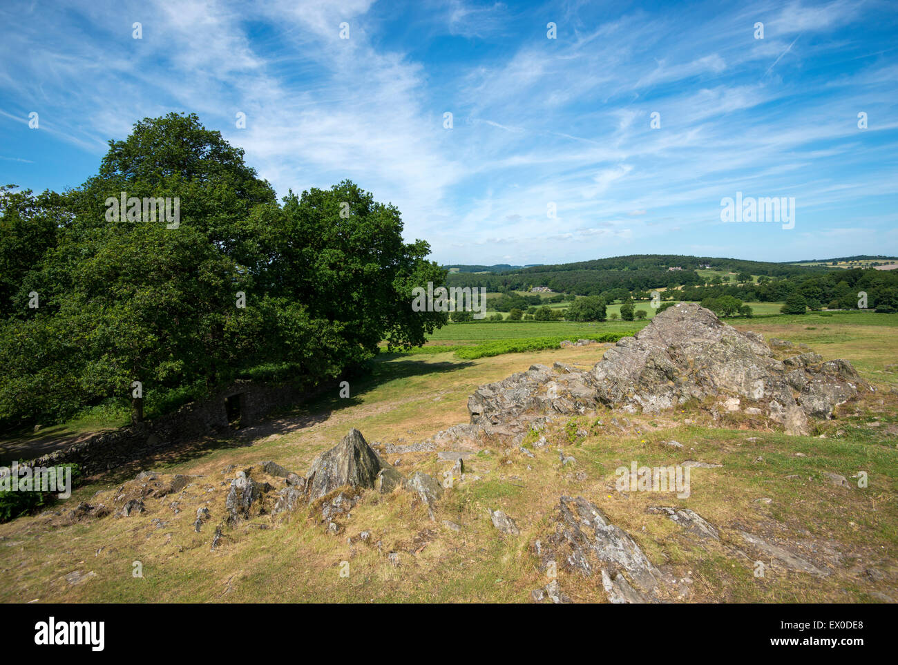View over Bradgate Park from Old John Tower, Leicestershire England UK ...