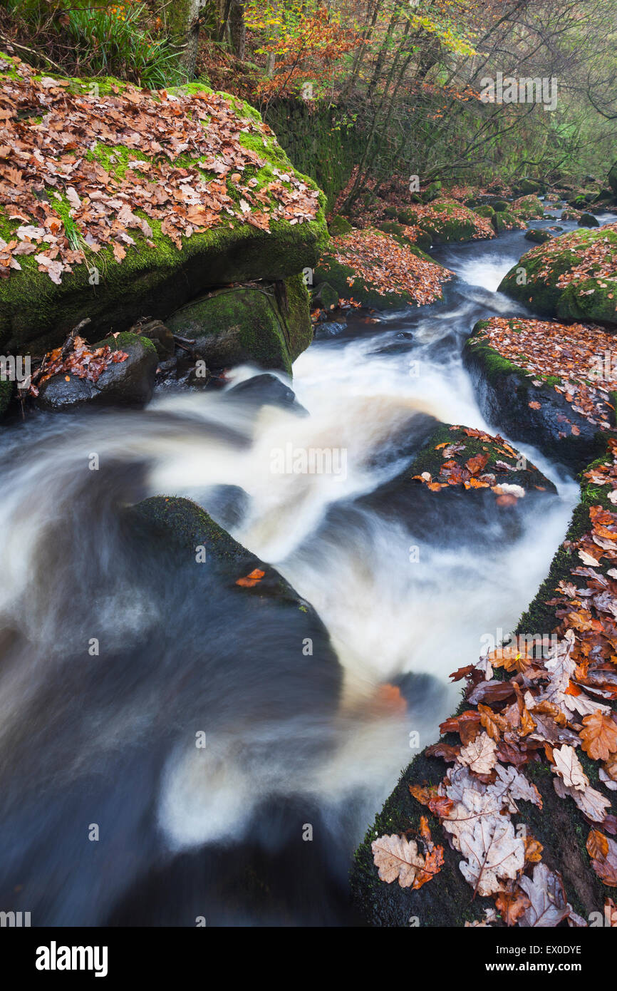 Colden Beck running through Colden Clough in autumn at Colden near ...