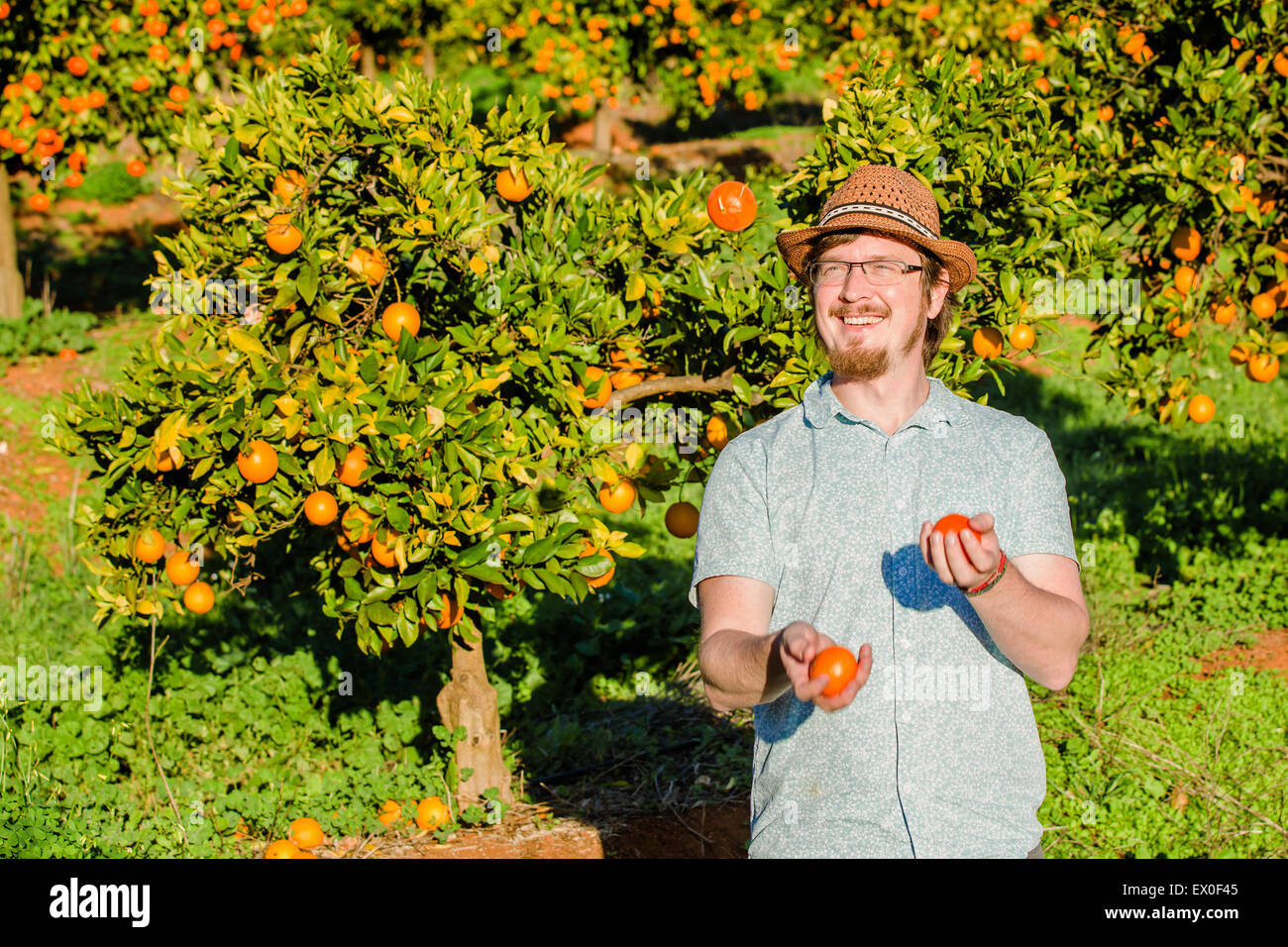 Cheerful young man juggling oranges on citrus farm Stock Photo - Alamy