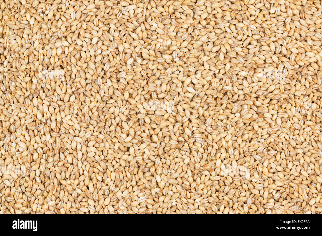 Barley Texture High Resolution Stock Photography and Images - Alamy